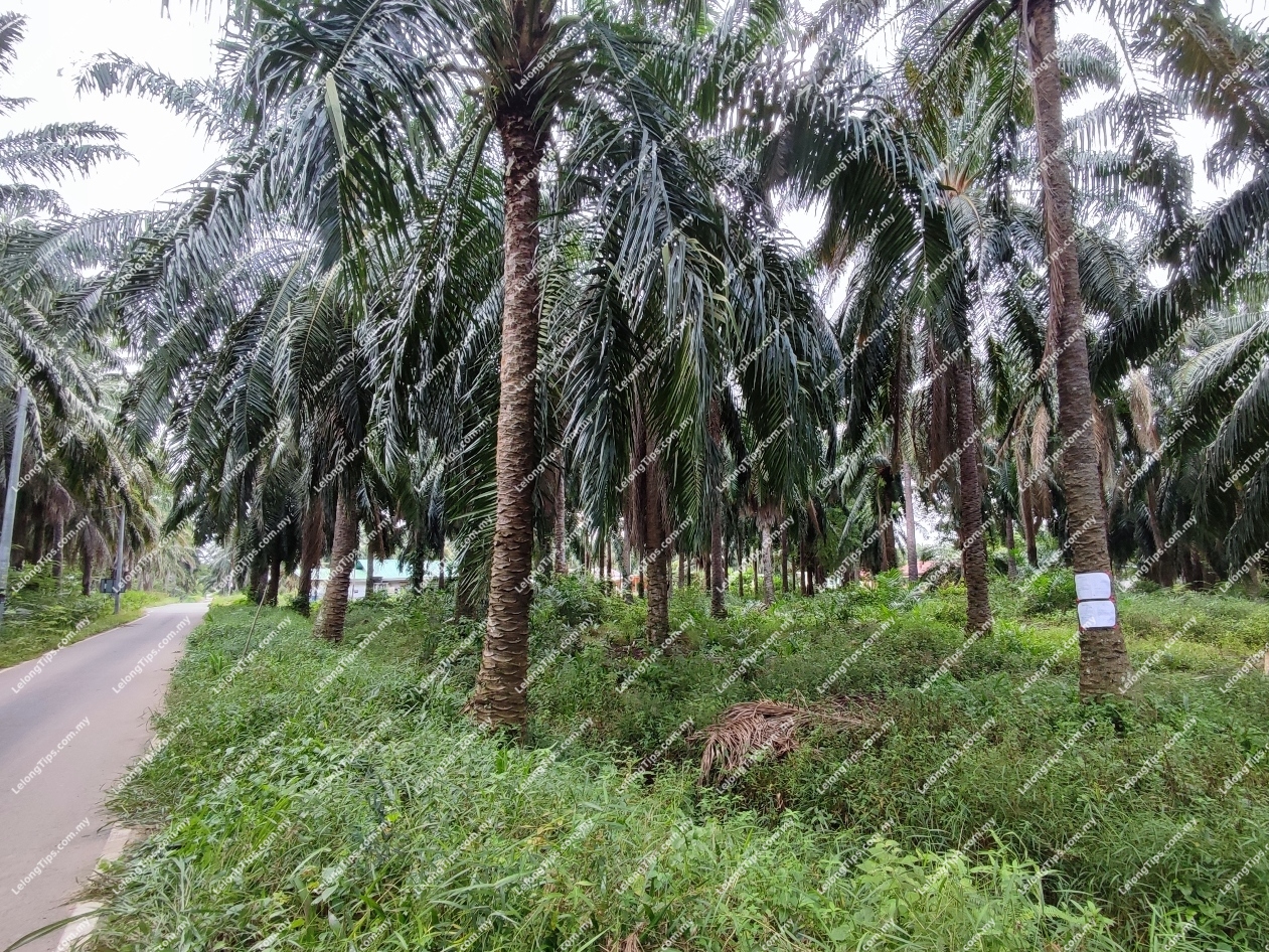  27 Freehold Agricultural Land