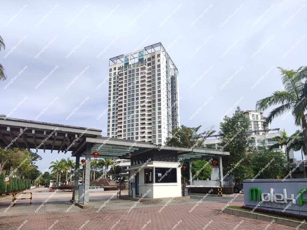 [-19%] Freehold 3 + 2 Room Molek Pine 3 Apartment [3 min to MSquare ...