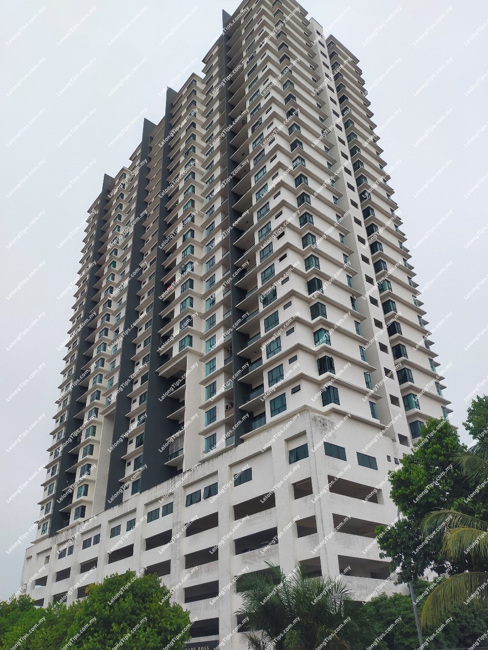 [-20% & ROI up to 6%] Freehold Rafflesia Service Apartment (The Raffles ...